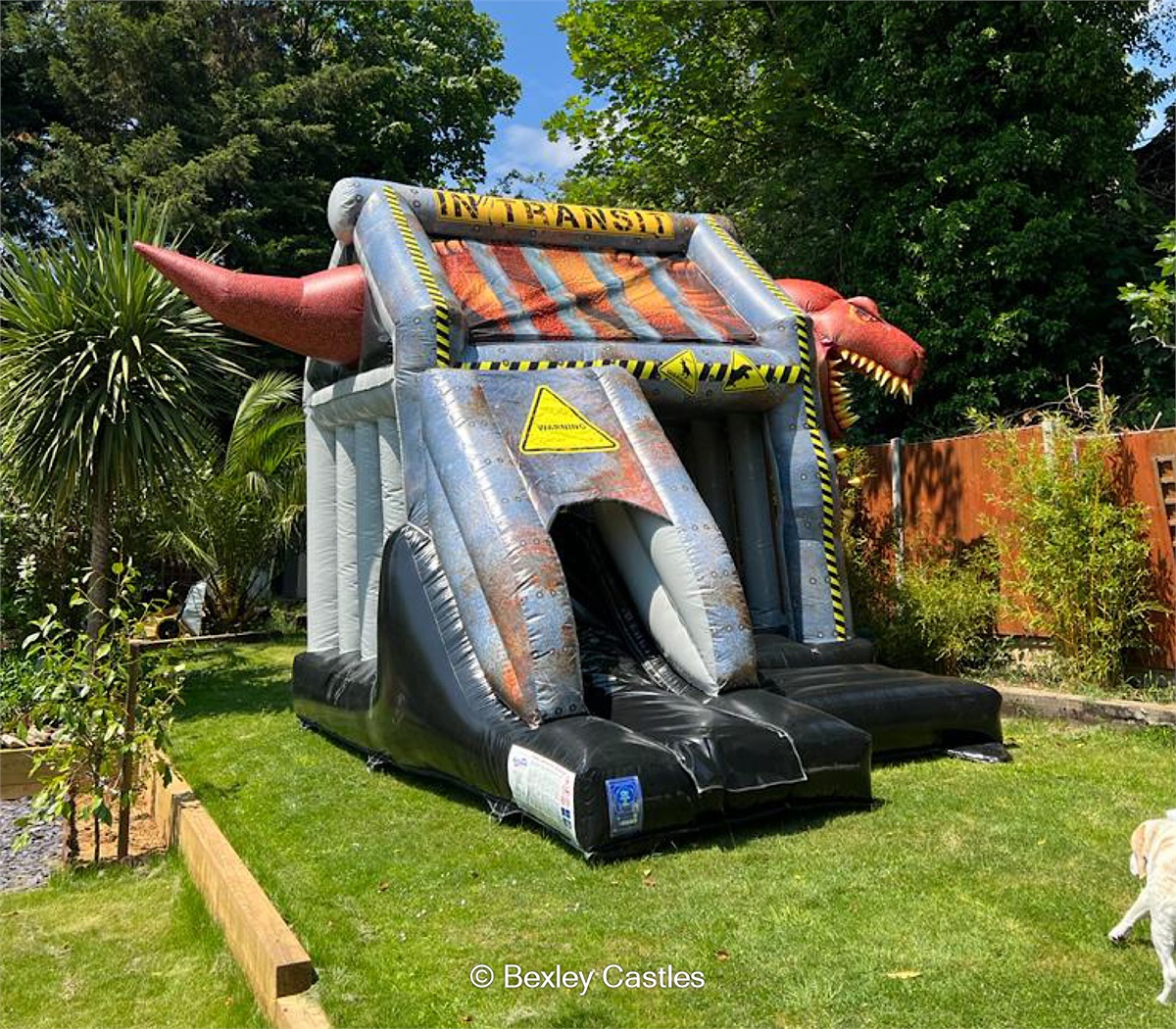 Dino Obstacle Course & Cage Bounce N Slide - Bouncy Castle Hire in ...