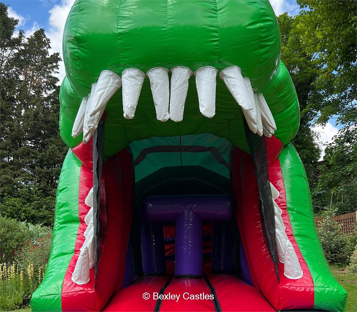 Dino Obstacle Course & Cage Bounce N Slide - Bouncy Castle Hire in ...